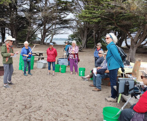 Congregation Beth Ami, Santa Rosa Synagogue